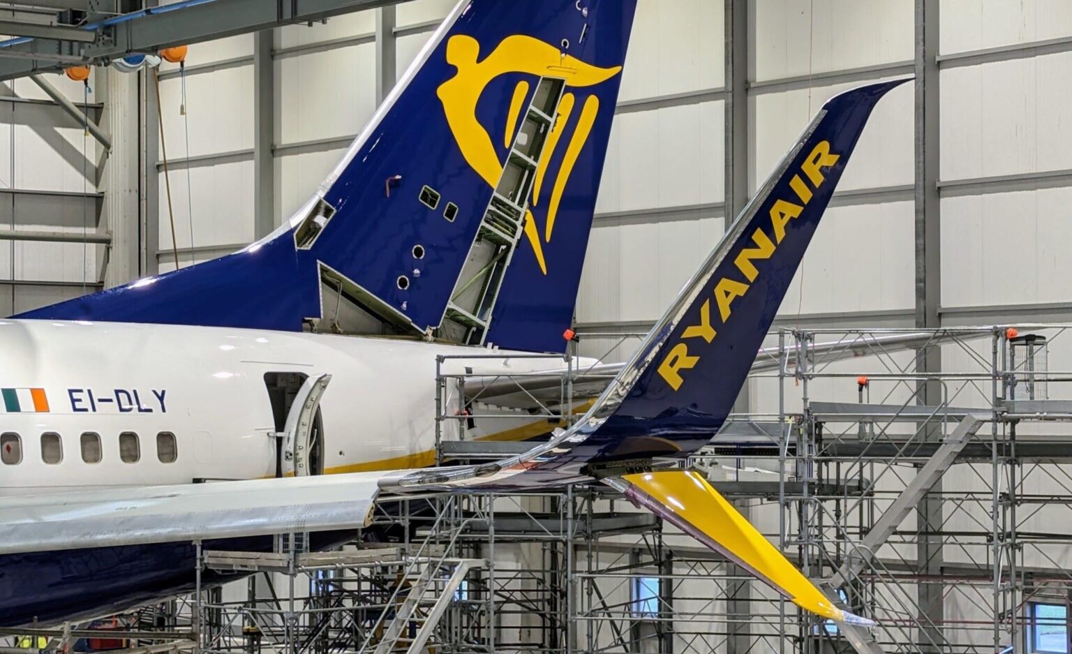 Nature gave us Winglets and Sharklets - Here's how | Wingtalkers