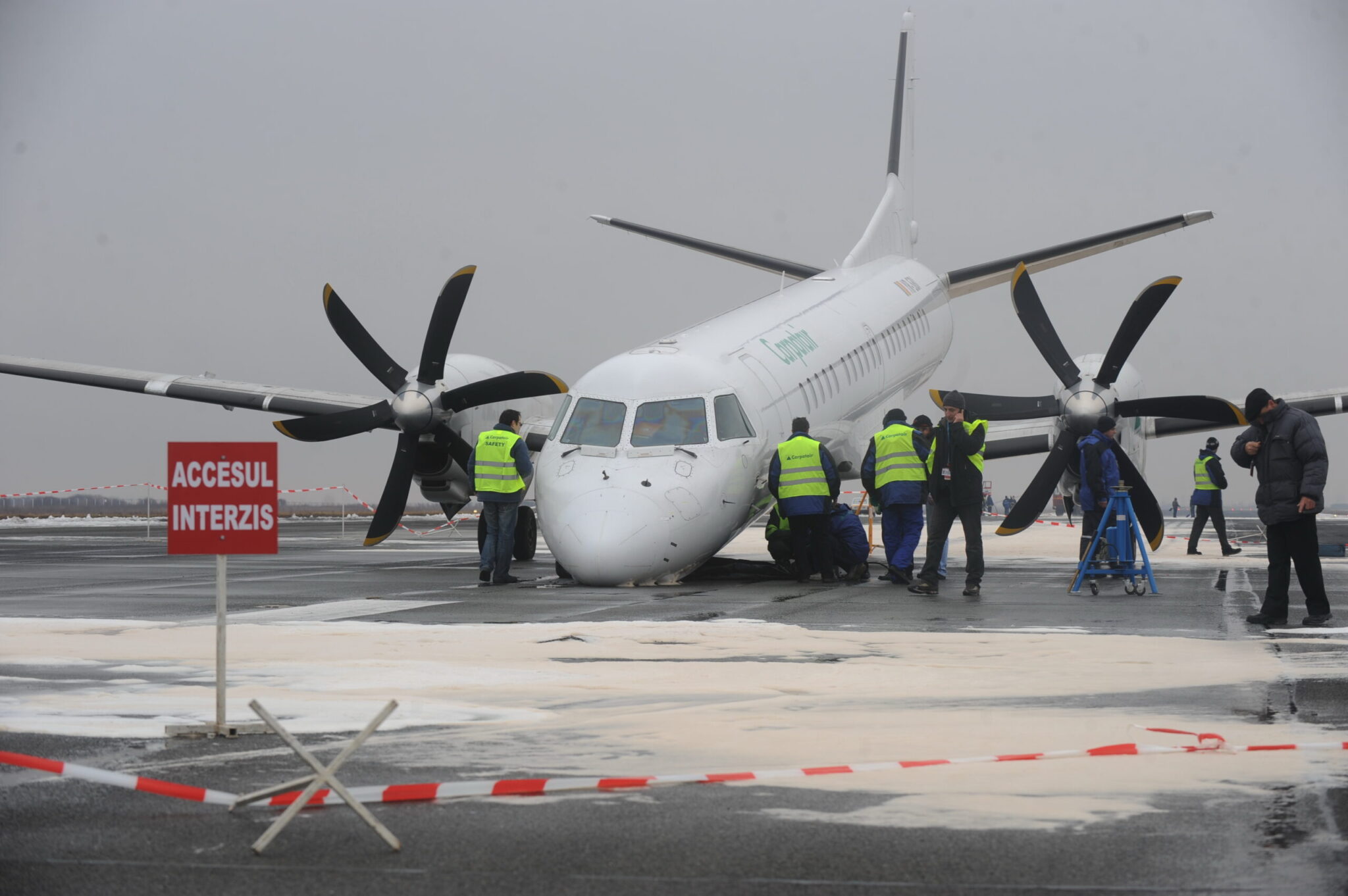 Demystifying SPECI Reports: And Why They Matter | Wingtalkers